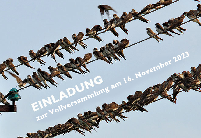 SEITENWECHSEL - Einladung zur ordentlichen Vollversammlung 2023